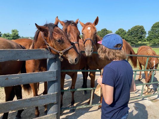 MILL RIDGE FARM - Updated March 2025 - 61 Photos & 15 Reviews - 2800 ...