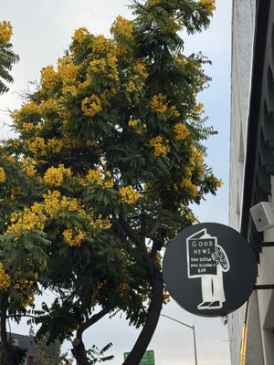 GOOD NEWS BAR - Updated August 2025 - 26 Photos & 13 Reviews - 3821 ...