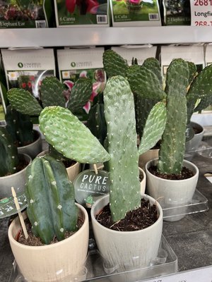 COSTCO WHOLESALE - Updated December 2025 - 93 Photos & 115 Reviews ...