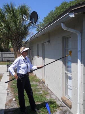 ASAP PEST SOLUTIONS - Updated September 2025 - 33 Photos & 10 Reviews ...