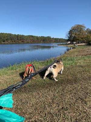 LAKE RIM PARK - Updated October 2024 - 17 Photos & 11 Reviews - 2214 ...