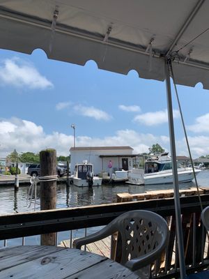 WHITE CAP FISH MARKET - Updated July 2024 - 134 Photos & 87 Reviews ...