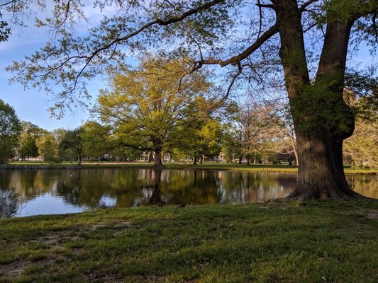 KNIGHT PARK - Updated December 2025 - 21 Photos & 10 Reviews - Collings ...