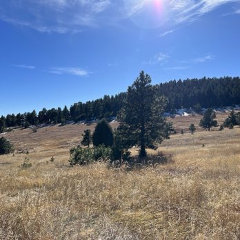 MOUNT FALCON PARK - Updated September 2025 - 395 Photos & 98 Reviews ...