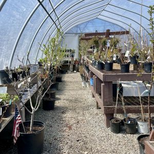 NORTHRIDGE NURSERY - Updated June 2025 - 16 Reviews - 237 Lein Rd ...