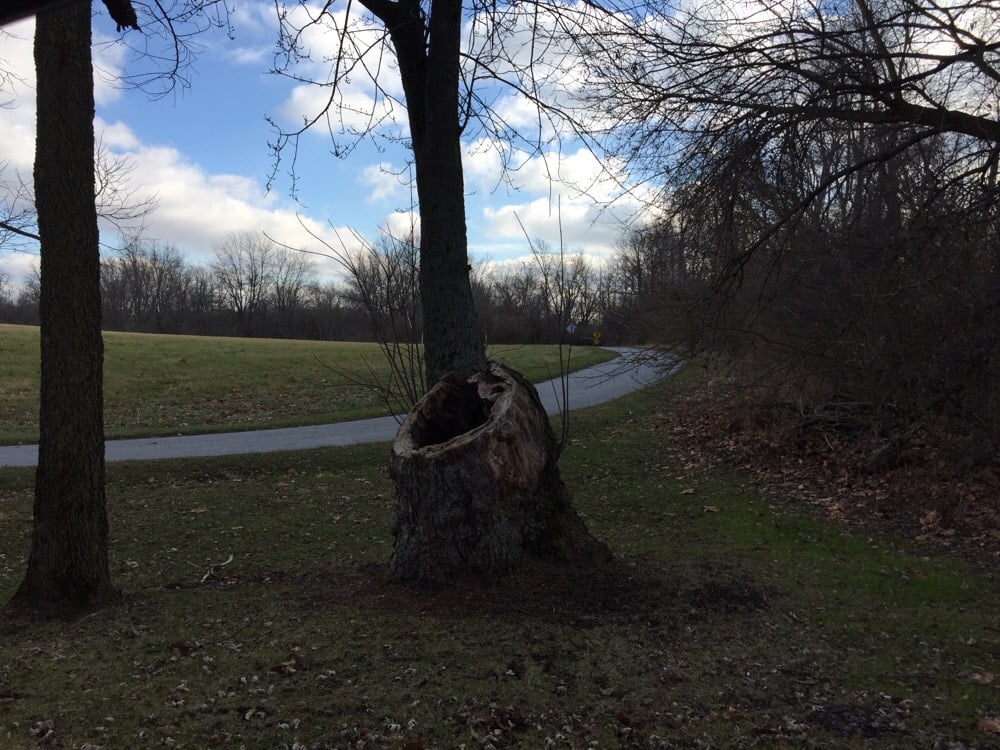 SHAWNEE MANOR - Updated January 2025 - 2535 Fort Amanda Rd, Lima, Ohio ...