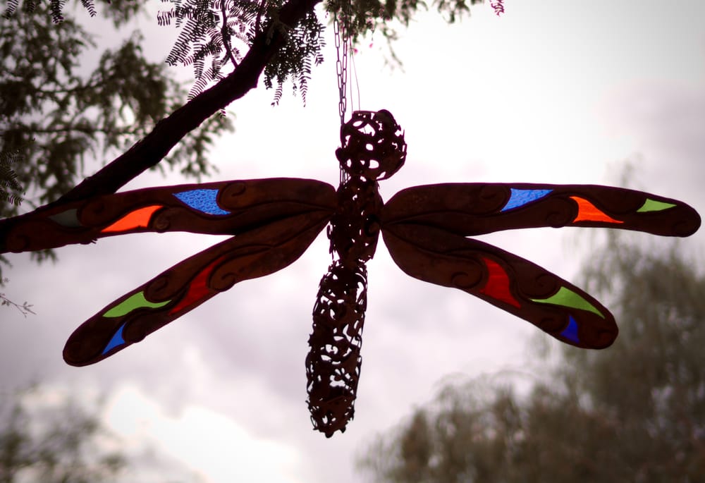 SOLAZ DESIGNS - Updated June 2025 - 10 Photos - 11745 E Summer Trl ...