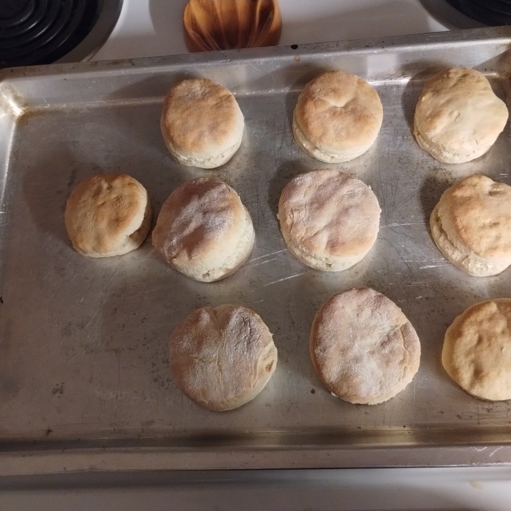 JCM BAKERY - 124 Photos - Gretna, Nebraska - Desserts - Phone Number - Yelp