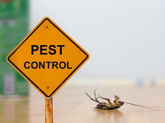 WEEDS & PESTS BE GONE - Updated March 2025 - Request a Quote - 11 ...