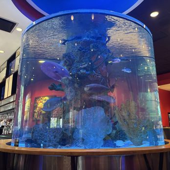 THE COWFISH SUSHI BURGER BAR - Updated December 2025 - 2566 Photos ...