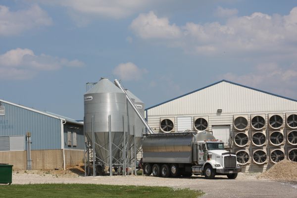 GERBER FEED SERVICE - Updated December 2025 - 3094 Moser Rd, Dalton ...