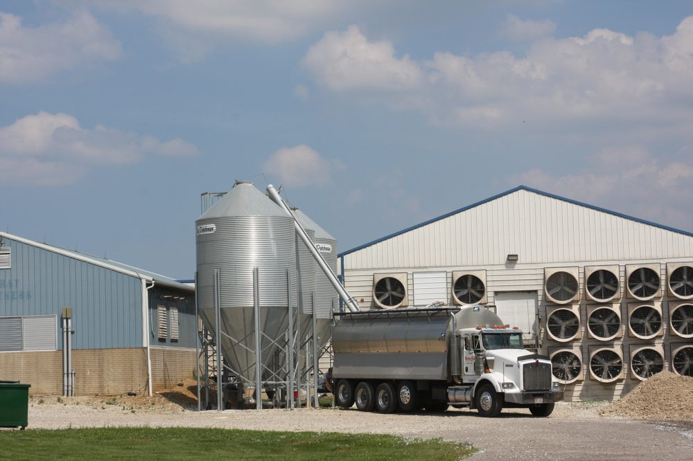 GERBER FEED SERVICE - Updated December 2025 - 3094 Moser Rd, Dalton ...