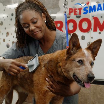 PETSMART Updated March 2025 21 Photos 17 Reviews 3589 River Rapids Dr Nw Coon Rapids Minnesota Pet Training Phone Number Yelp