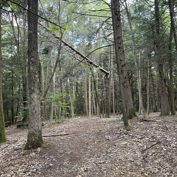 DAY POND STATE PARK - Updated December 2025 - 43 Photos - Day Pond Rd ...