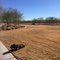 RED RIDGE PARK - Updated December 2024 - 501 Photos & 60 Reviews - 9135 ...