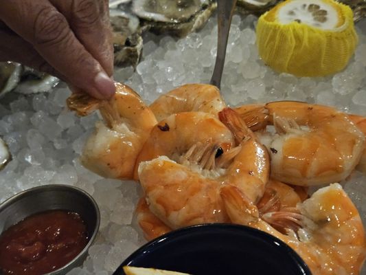 OCEAN INK - Updated December 2025 - 27 Photos & 12 Reviews - 1632 E 7th ...