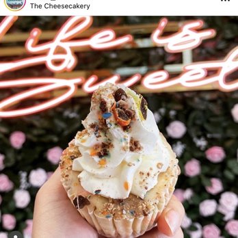 THE CHEESECAKERY - Updated July 2024 - 240 Photos & 129 Reviews - 4825 ...