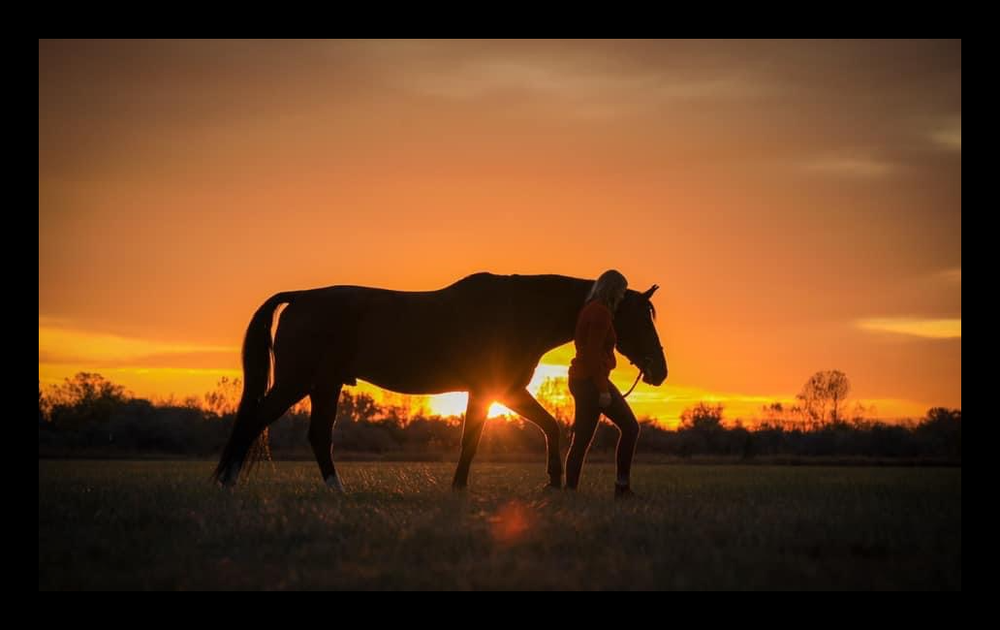 TOP LINE SERVICES - Updated February 2025 - Request Information - 2040 ...