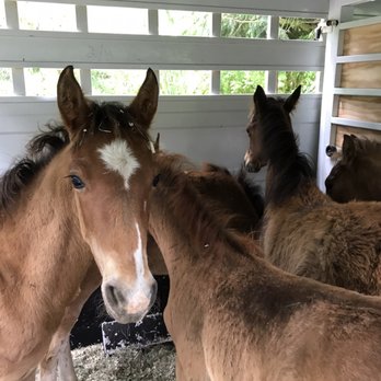 DOUBLE J TRAILERS - Updated October 2025 - 17 Photos & 14 Reviews - 112 ...