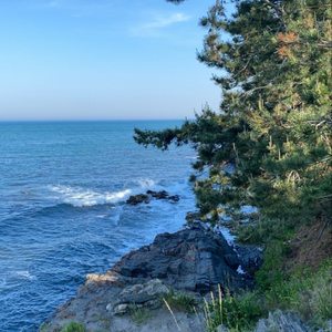 SECOND BEACH / SACHUEST BEACH - 170 Photos & 97 Reviews - 474 Sachuest ...