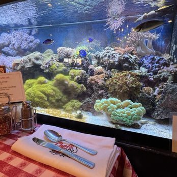 CHEF’S RESTAURANT - Updated May 2025 - 645 Photos & 565 Reviews - 291 ...