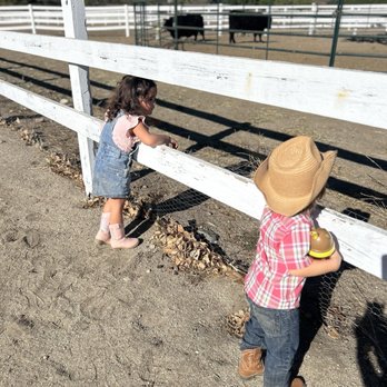 OLD TOWN RANCH - Updated October 2025 - 24 Photos - 43550 Dash For Cash ...