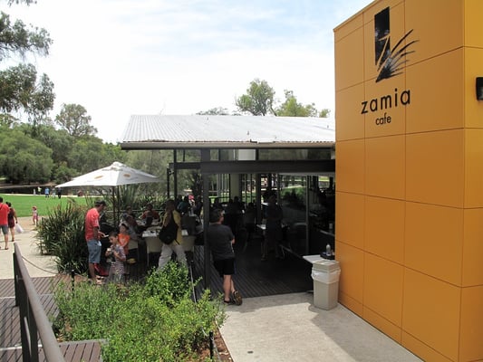 ZAMIA CAFE - Updated December 2025 - 51 Photos & 25 Reviews - 50 May Dr ...