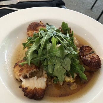 IVY RESTAURANT - Updated July 2024 - 328 Photos & 484 Reviews - 120 N ...