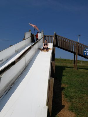 GAVER TREE FARM & PUMPKIN PATCH - 220 Photos & 124 Reviews - 5501 ...