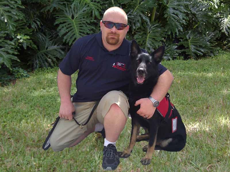 ALL AMERICAN DOG TRAINING ACADEMY - Updated January 2025 - 29 Photos ...
