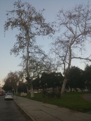 SYCAMORE GROVE PARK - 57 Photos & 26 Reviews - 4702 N Figueroa St, Los ...