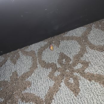 MACDILL INN - Updated December 2025 - 58 Photos & 25 Reviews - 7637 ...