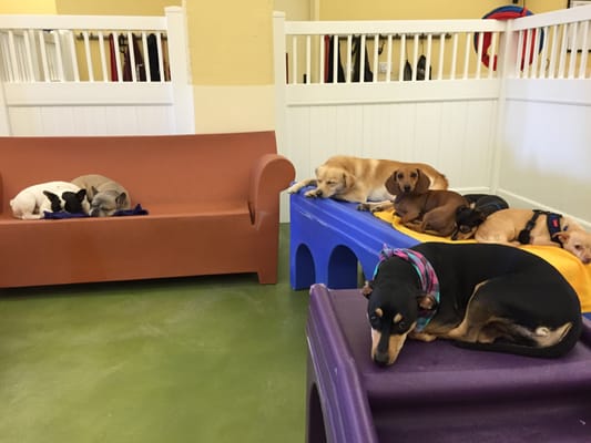 MR. MUGGLES’ DOGS - Updated May 2025 - 63 Photos & 99 Reviews - 2175 ...