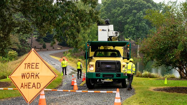 BARTLETT TREE EXPERTS - Updated December 2025 - 65 Photos & 18 Reviews ...