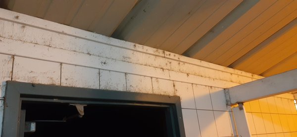 HESPERIA LAKE PARK & CAMPGROUND - Updated December 2025 - 142 Photos ...