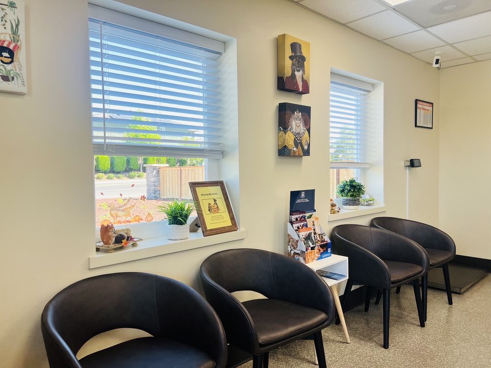 LINCOLN PET CLINIC - Updated January 2026 - 20 Reviews - 870 East Ave ...