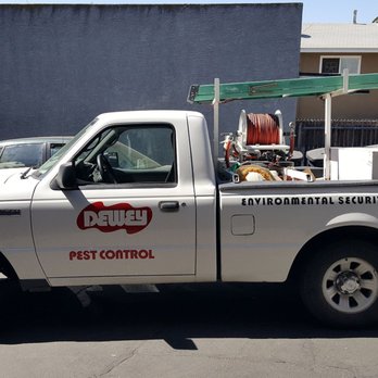 DEWEY PEST & TERMITE CONTROL - Updated July 2025 - 15 Photos & 71 ...