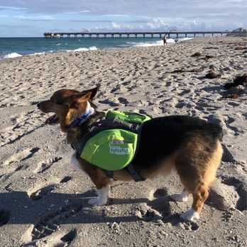 JUPITER DOG BEACH - Updated July 2025 - 27 Photos & 16 Reviews - 2188 ...