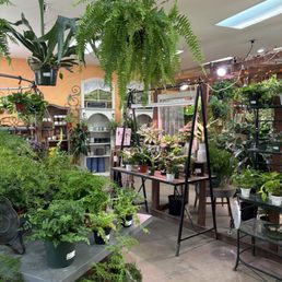 ALDEN LANE NURSERY - Updated December 2025 - 430 Photos & 235 Reviews ...