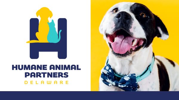 HUMANE ANIMAL PARTNERS - Updated September 2025 - 33 Photos & 11 ...