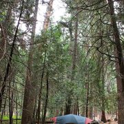 SENTINEL CAMPGROUND - 43 Photos & 17 Reviews - Campgrounds - Cedar ...