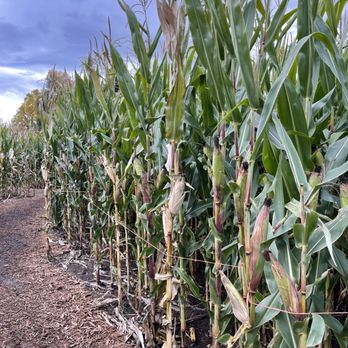 SPOONER FARMS - Updated October 2024 - 124 Photos & 82 Reviews - 9710 ...