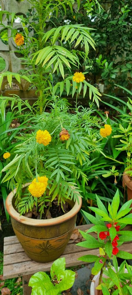 QUEENSTOWN PUBLIC LIBRARY - Updated March 2025 - 64 Photos - 53 ...