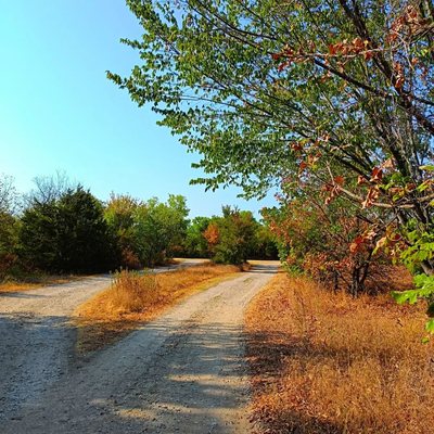 LLELA NATURE PRESEVE - Updated January 2026 - 31 Photos - 201 E Jones ...