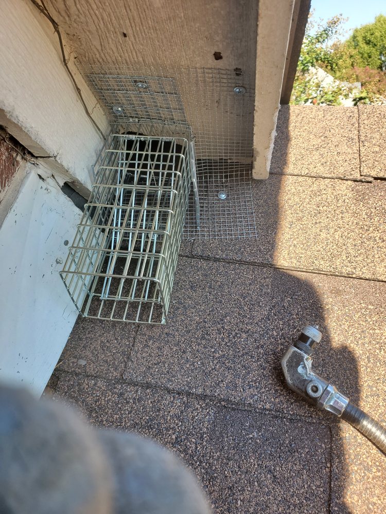 VINX PEST CONTROL - Updated October 2025 - 29 Photos & 19 Reviews ...