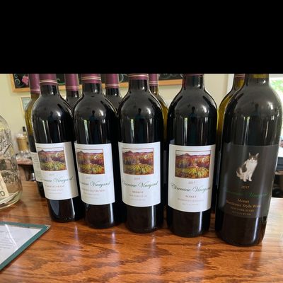 CLEARVIEW VINEYARD - Updated December 2025 - 127 Photos & 113 Reviews ...
