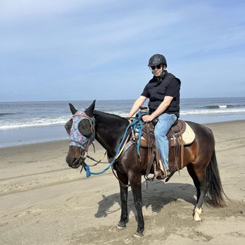 OCEAN VIEW STABLES - Updated June 2025 - 81 Photos & 62 Reviews - 2152 ...
