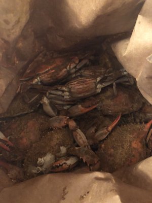 HENRY’S SEAFOOD MARKET - Updated December 2025 - 504 E Mercury Blvd ...