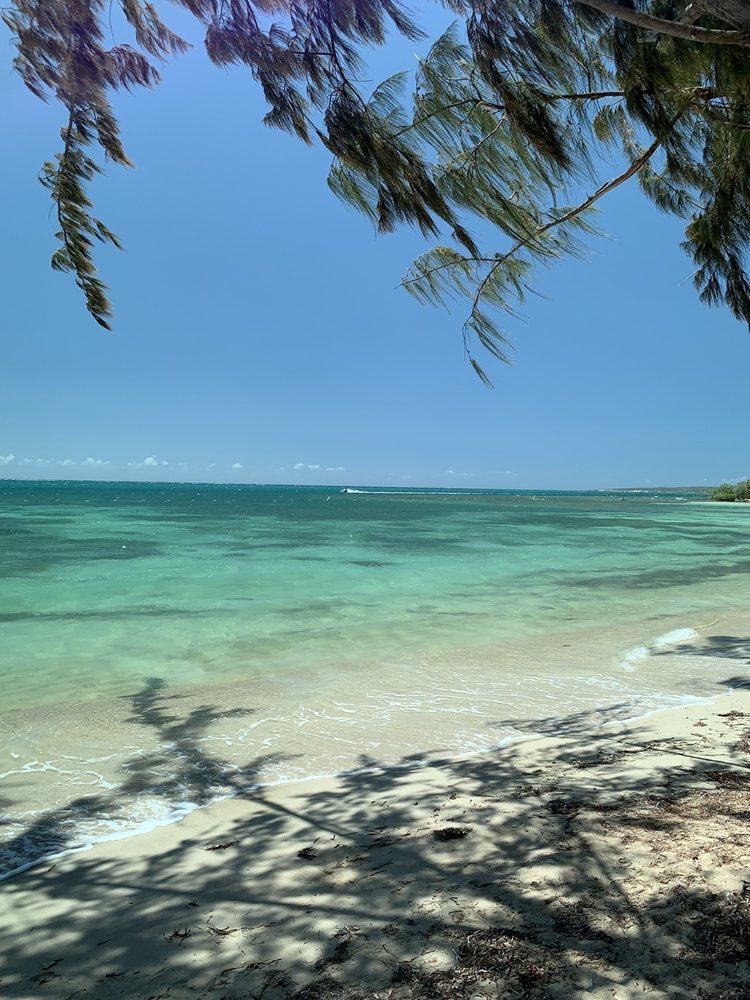 PLAYA CAÑA GORDA - Updated June 2024 - 12 Photos - Carretera Nacional ...