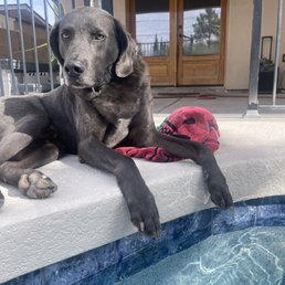 SUN STATE POOLS - Updated December 2025 - 196 Photos & 34 Reviews ...